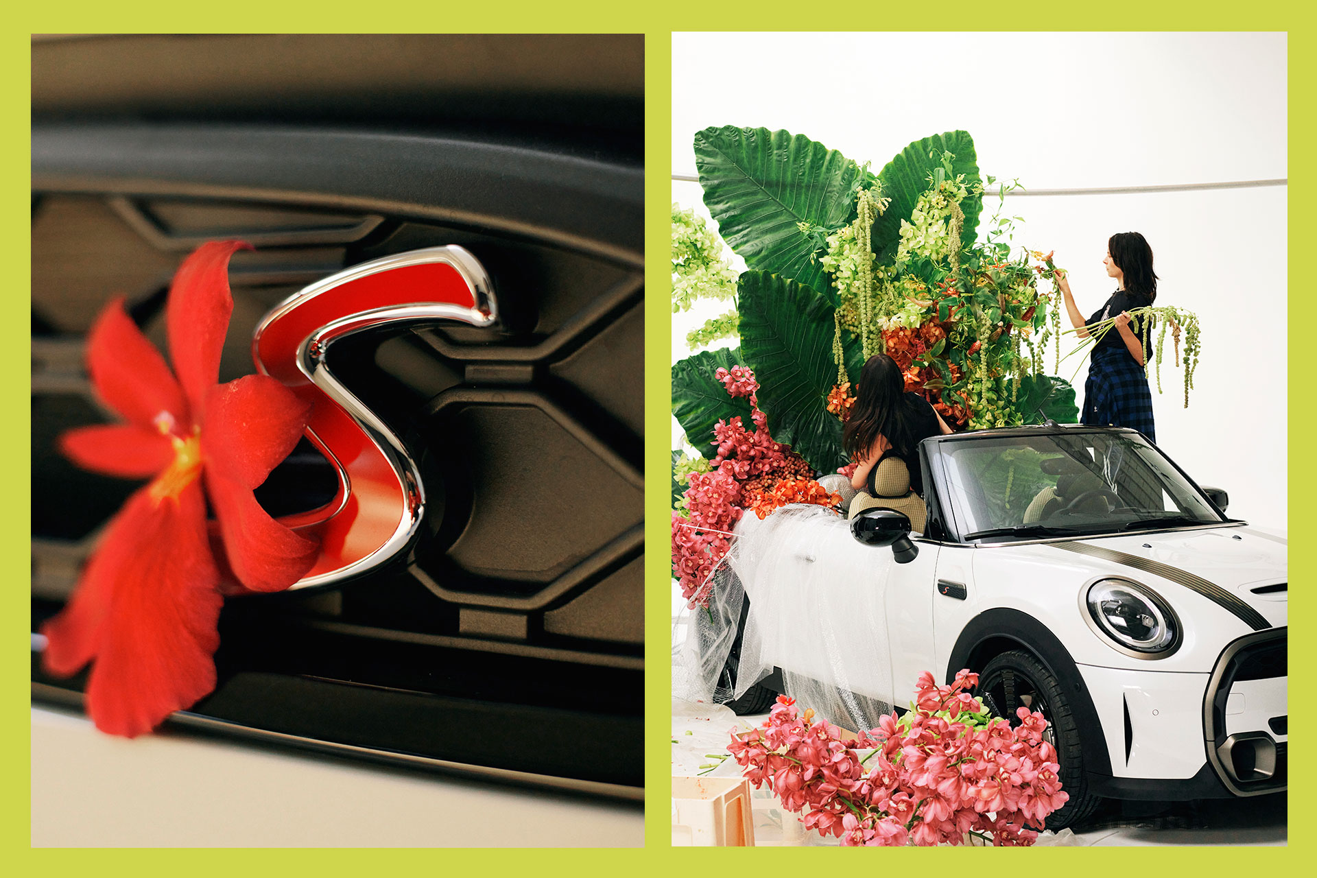 The power of the flower. | MINI.com