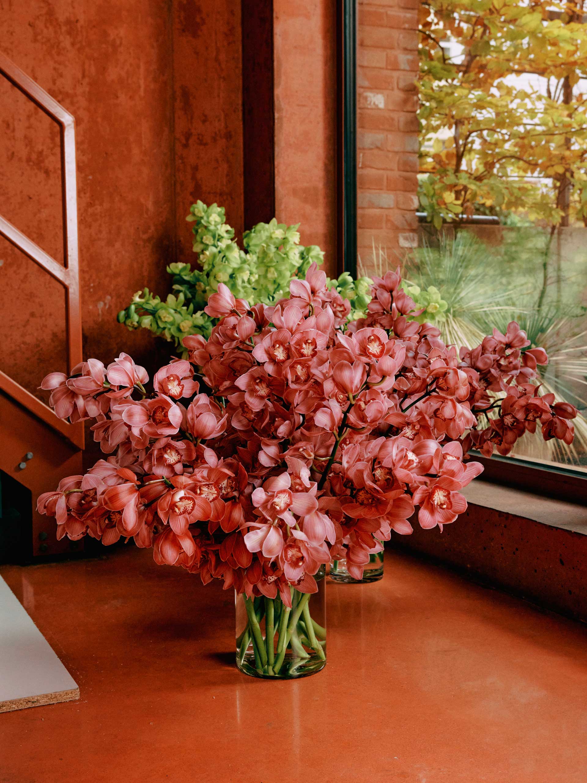 The power of the flower. | MINI.com