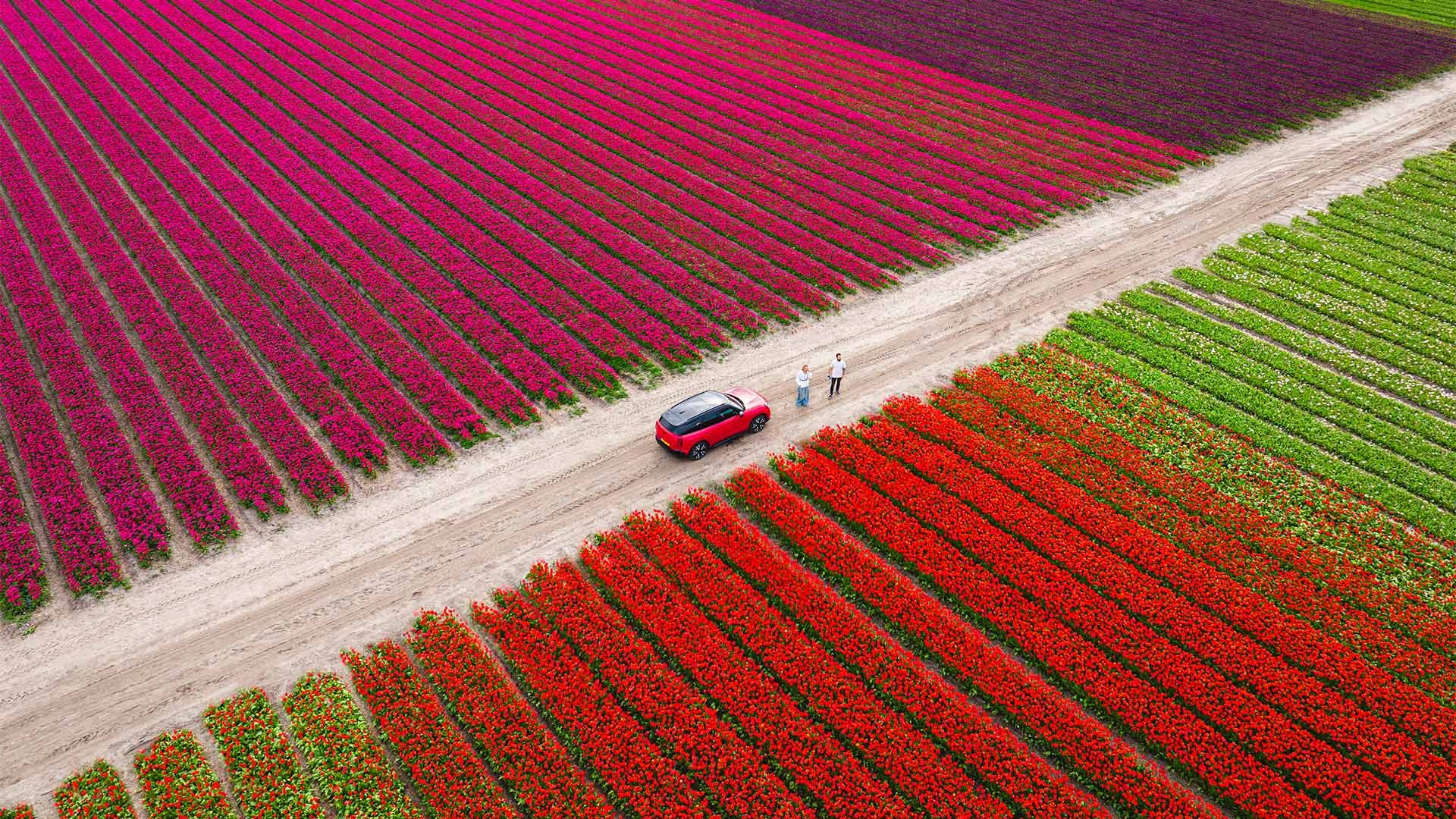 Official Homepage | mini.com