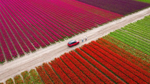 Official Homepage | mini.com